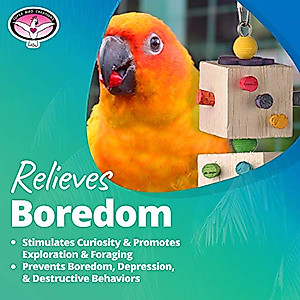 Super Bird Creations SB1103 Parrot-Dice Bird Toy, Medium Bird Size, 9" x 2.5" x 2.5"