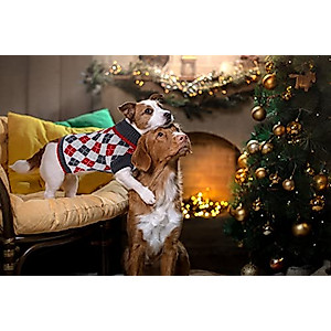 D4Dream Dog Sweaters for Small Dogs,Turtleneck Dog Sweater,Warm Dog Winter Coats for Cold Weather,Medium Size Pet Holiday Clothes for Dogs