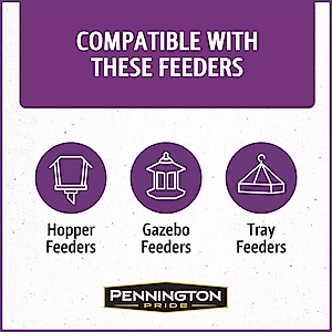 Pennington Pride Songbird Nut & Fruit Blend, Wild Bird Seed for Outside Feeders, Advanced Nutrition Formula for Bird Health, 10-lb. Bag