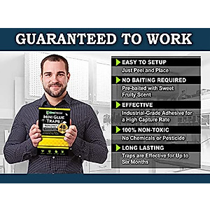 MaxGuard Mini Glue Traps (48 Traps) Non-Toxic Extra Sticky Glue Board Pre-Baited with Fruity Scent Attractant Trap & Kill Insects, Bugs, Spiders, Crickets, Scorpions, Cockroaches, Centipedes, Mice