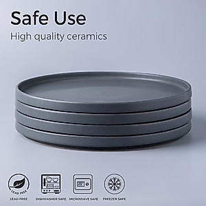 AmorArc Stoneware Dinner Plates Set of 4, 10.5 Inch Reactive Matte Glaze Ceramic Plates Set, Modern Dinnerware Dish set for Kitchen, Microwave, Dishwasher Safe, Scratch Resistant-Matte Charcoal Gray