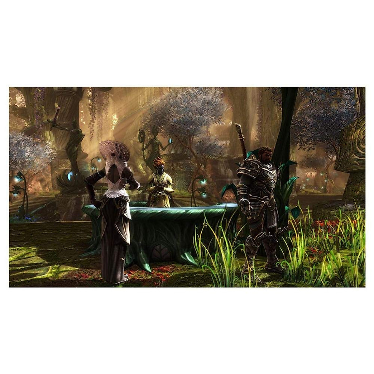 Kingdoms of Amalur Re-Reckoning - PlayStation 4