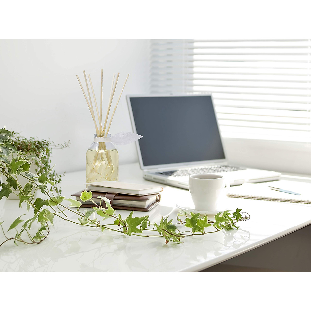 LOVSPA Coconut & Eucalyptus Reed Diffuser Oil Set - Scented Stick Room Freshener - Creamy Coconut, Eucalyptus, Mint, Tonka, Vanilla Sugar - Made in The USA