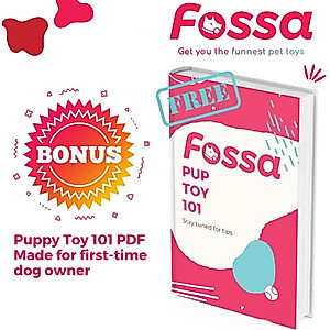 FOSSA Interactive Dog Toys, Crate Training Aids for Puppies, Puzzle Treat Dispenser with Rope