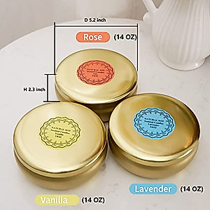 Scented Candles Gift Set, 3 x14 oz Soy Wax 3-Wick Aromatherapy Candle, Stress Relief Gifts for Women, Candles for Home Scented, Ideal for Birthday, Christmas, Thanksgiving