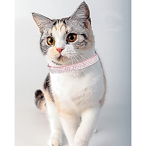 Solmoony Breakaway Cat Collars with Bell,Adjustable Safe Kitten Collar,Cat Collars for Girl Cats with Rhinestone Soft Velvet (Pink)