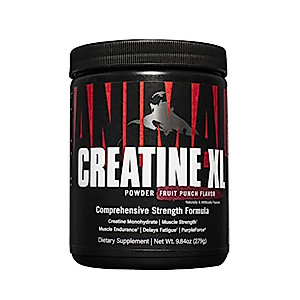 Animal Creatine XL Powder - Enhanced Pre Workout Creatine Monohydrate Supplement - Support Brain Health, Delay Fatigue, Enhance Endurance, Improve Recovery, Men and Women - Fruit Punch