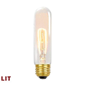 Royal Designs LB-2001-2 Clear Edison Incandescent Vintage Style 60-Watt T10 E26 120V Light Bulb, 2 pack