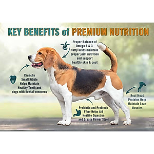 Chicken Soup for The Soul Classic Dry Small Bites Adult Dog Food, Chicken, Turkey & Brown Rice Recipe, 28 Pound Bag | Soy, Corn & Wheat Free, Small Breed Dog Food Made with Real Ingredients