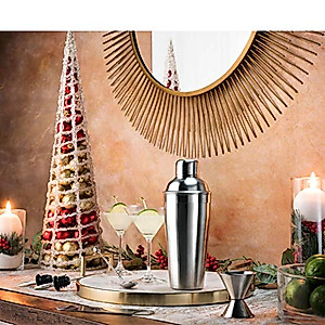 7-Piece Cocktail Shaker Set - Bar Tools - Stainless Steel Cocktail Shaker Set Bartender Kit, with All Bar Accessories, Cocktail Strainer, Double Jigger, Bar Spoon, Bottle Opener, Pour Spouts