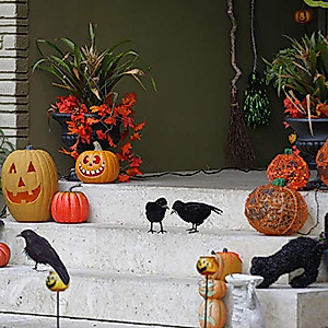 UCSAJI 6PCS Halloween Black Realistic Crow Halloween Props Black Feathered Crow Simulation Animal Model for Party Decoration