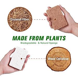 Viverhoy Natural Kitchen Sponge 12 Packs - Biodegradable Sponge - Eco-Friendly Sponge for Sustainable Living - Compostable Wood Cellulose and Coconut Washing Sponge.