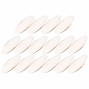 EXCEART 30pcs Bird Cuttlebone Natural Cuddle Bone Bird Beak Stone Beak Grinder Parrot Chew Toys Molar Toy for Parakeets Cockatiel Macaw
