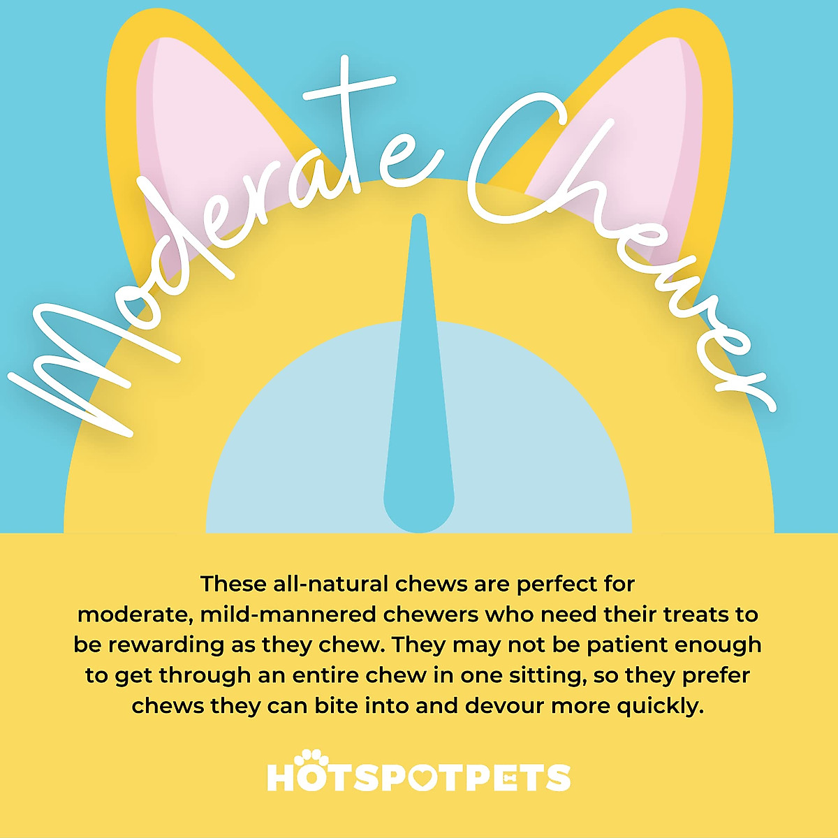 hotspot pets Bully Stick Rings for Dogs (10 Pack) - Premium All Natural Long Twisted Beef Pizzle Dog Chew Treats - Grain Free Fully Digestible Rawhide Alternative Thick Chew Circles