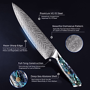 SENKEN Damascus Steel Kitchen Knife Set - Umi Collection - 67-Layer Japanese VG10 Steel, Real Deep-Sea Abalone Shell Handle, Chef's Knife, Santoku, Paring, Fillet, Utility (5-Piece Damascus Knife Set)