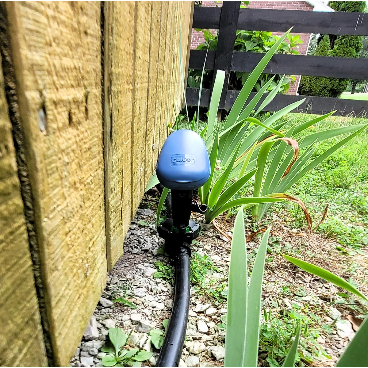 Galcon 7101D Battery Operated Single Valve Sprinkler Timer with a Waterproof Professional Irrigation Controller 3/4 inch Valve Drip, Sprinkler, GAR6S231UP0