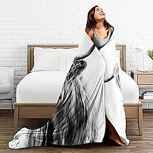 Ultra Soft Highland Cow Blanket, Portrait of Cattle Cow Throw Blanket, Warm Cozy Flannel Throw for All Seasons for Couch Bed Sofa 50"x40"