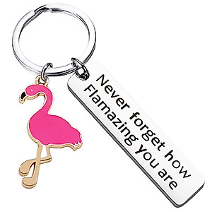 NAKUMICHA Flamingo Gifts for Women，Motivational Flamingo Keychain Never Forget How Flamazing You are, Bff Gifts for Women, Key Organizer Flamingo Lover BFF Animal Lovers Gift for Women Girls,Red