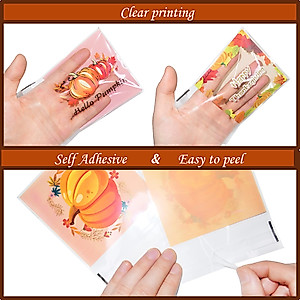 HADDIY Thanksgiving Cookie Treat Bags,240 Pcs Small Cellophane Self Adhesive Fall Pumpkin Candy Goody Bags in Bulk for Autumnt Thanksgiving Party Favor