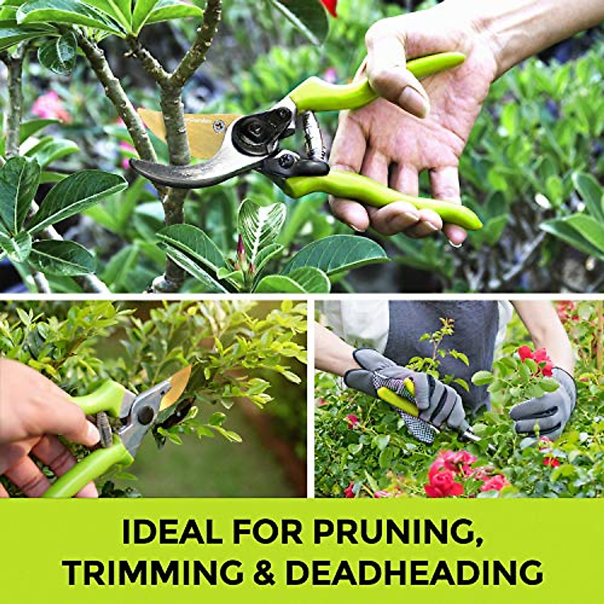 Mueller Heavy Duty Garden Shears, Hand Pruner, Bypass Shears, Durable Hardened Titanium Blades, 1.2" Cutting Diameter, Blade Lock, Ergonomic Grip
