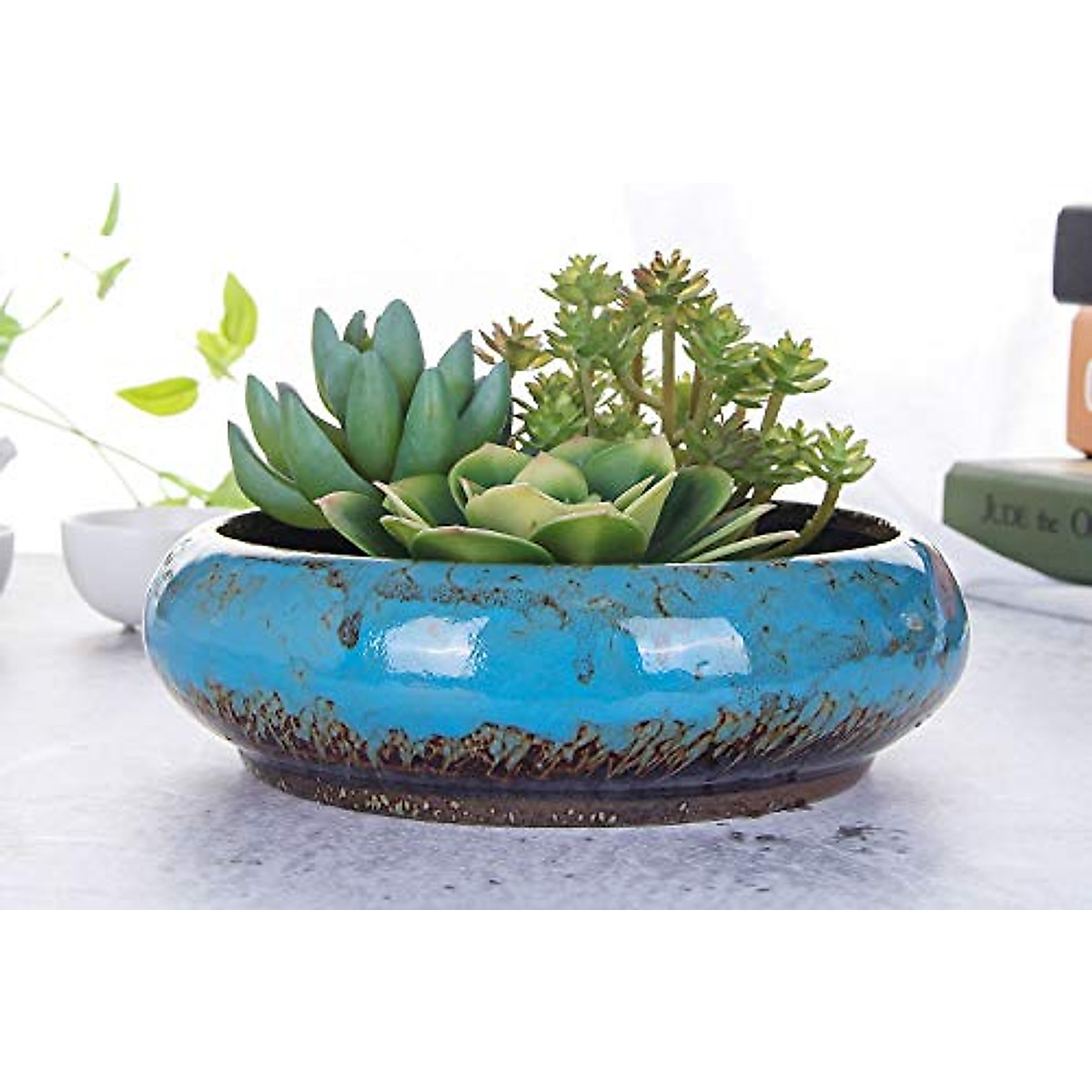 VanEnjoy 7.3 inch Round Large Shallow Succulent Ceramic Glazed Planter Pots with Drainage Hole, Bonsai Pots Garden Decorative Cactus Stand Flower Container (Blue)