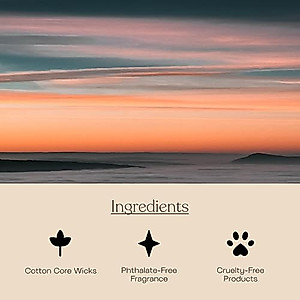 Anecdote Candles ‘Homebody' Coconut Soy Wax Candle Jar | Premium Hand Poured & Long Burning | Bergamot & Tea Leaves Scent | Phthalate-Free | for Home, Office, Gift - 7.8 Oz