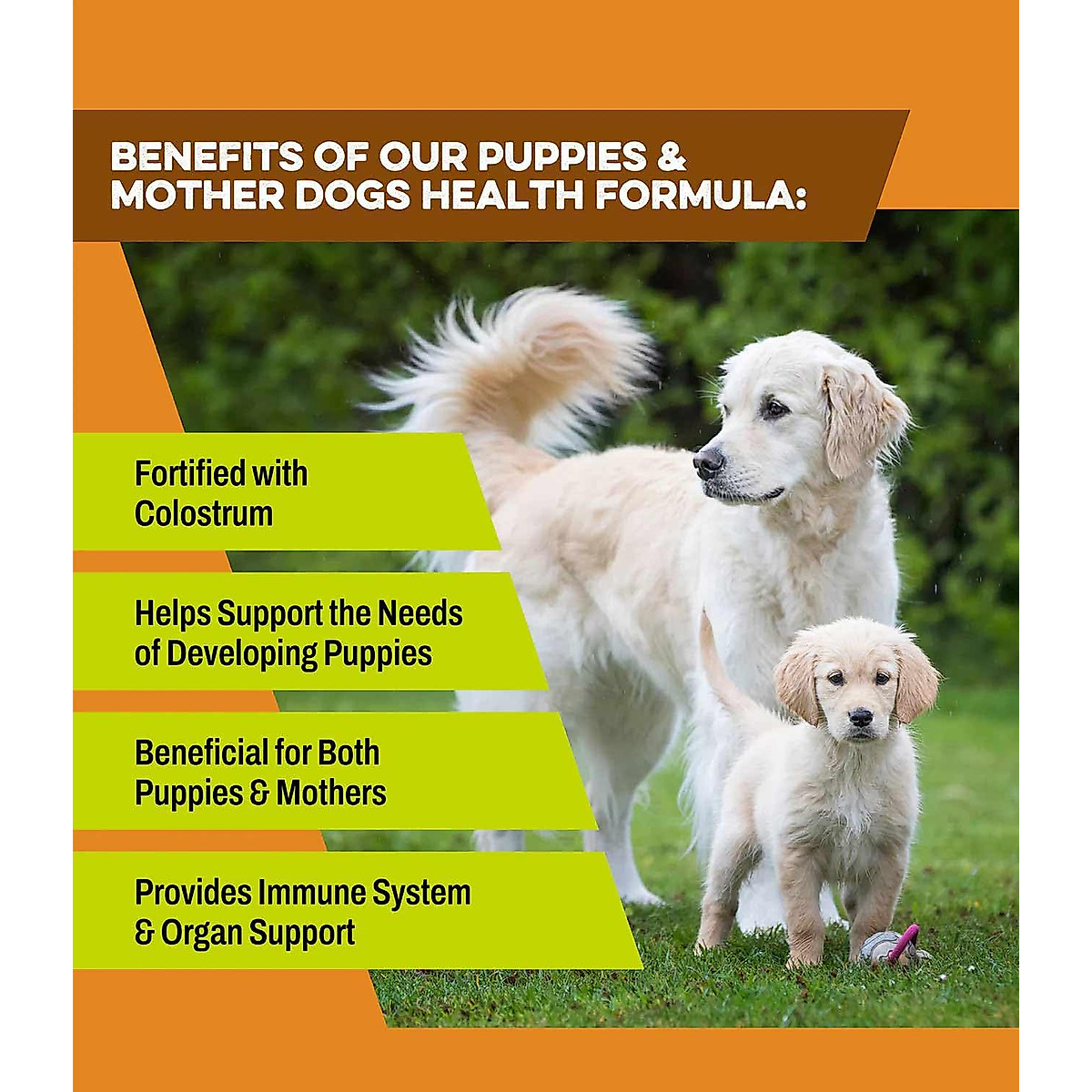 K9-Power - 'Puppy Gold' Growing Puppy Nutrition Formula