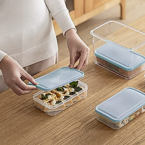 amokk Lunch Containers for Adults with Lids Portable Bento Lunch Box Large Capacity Salad Container for Lunch BPA Free (Blue)