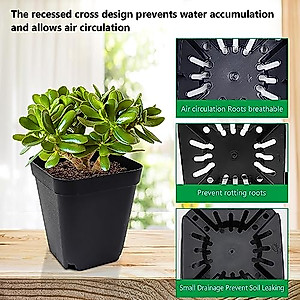 RooTrimmer Black 90-Pack 3.54 X 3.54 inches Square Nursery Seedling Flower Pot Plastic Thick Seed Start Germination Pot for Plant Propagation and Seeding,Sturdy Suit for 1020 Trays