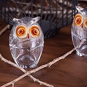 ALAMHI Crystal Glass Candy Dish with Lid,Small Clear Candy jar,Cute Owl Decorative jar for Office Desk, Glass Owl Home Decor