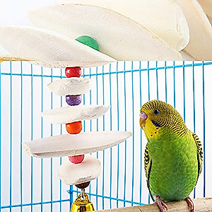 Rosavida 3 Pieces Cuttlebone Natural Polished Cuttlebone for Cockatiels Birds Reptiles Turtles and Snails Optimal Calcium and Mineral Supply 5.5-6.5 Inch