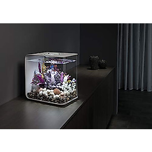 biOrb Feng Shui Pebble Pack, White