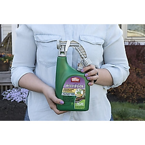 Ortho Weed B Gon Chickweed, Clover & Oxalis Killer for Lawns, 32 Oz. (Pack of 2)