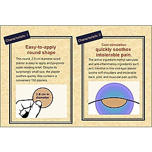 The ROIHI-TSUBOKO Cool-Type Plaster. Cool Relief