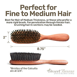 100% Pure Calcutta Boar Bristle Hairbrush for Natural Healthy Hair, Stiff Bristle, Made in Germany's Black Forest
