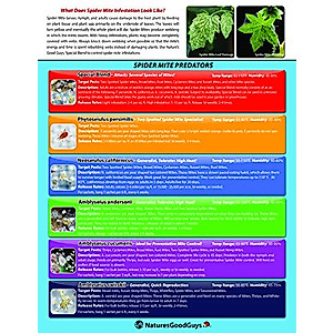 1,000 Live Adult Predatory Mites - Neoseiulus (Amblyseius) Californicus a Predatory Mite Specie for Spider Mite Control - Ships Next Business Day!l