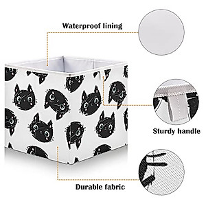 Kigai Black Cat Cube Storage Bins - 11x11x11 In Large Foldable Storage Basket Fabric Storage Baskes Organizer for Toys, Books, Shelves, Closet, Home Decor