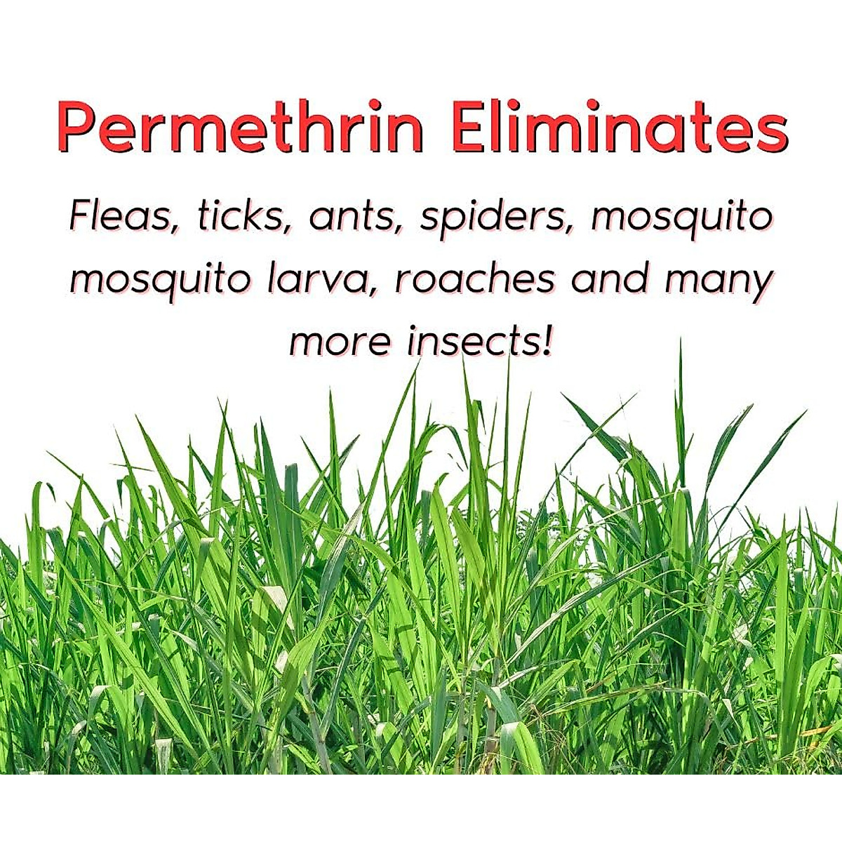 Zone Protects Flea and Tick Yard Permethrin Insecticide. Kills Ticks, Fleas, Spiders, Ants. Hose End (32 oz) Permethrin Yard Spray. Covers 10,000 sq.ft. Permethrin is Odorless