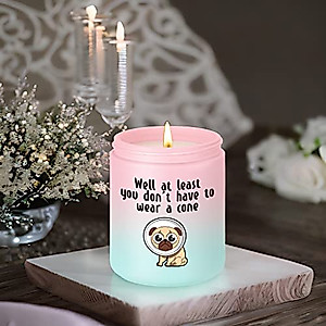 Miracu Scented Candles - Funny Get Well Soon Gifts for Women, Men - Post Surgery Recovery, After Surgery Gifts for English Bulldog Lover, Friends, Him, Her - Cute Comfort Gifts for Patients, Dog Mom