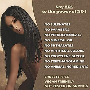 GIOVANNI 2chic Ultra-Sleek Leave-In Conditioning & Styling Elixir - Phyto-Keratin & Argan Oil, Anti-Frizz Formula, Coconut, Shea Butter, Pro-Vitamin B5, Color Safe, Paraben Free - 4 oz