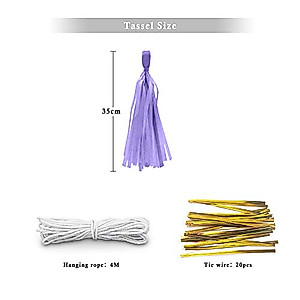 Binpeng 14in 21pcs Rainbow Paper Tassel DIY Hanging paper decorations Party Garland Decor for Party Decorations Wedding,Festival,Baby Shower Decoration 21PCS (Rainbow Tassels 7 Colors 21 PCS)