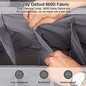 Fentec Over the Door Shoe Organizer, 2 Pack Hanging Shoe Organizer,12 Large Pockets and 2 Larger Storage Various Compartments with 6 Hooks Shoe Storage Rack Organizer for Shoes, Home Accessories, Grey