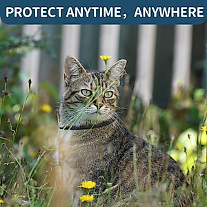 Flea Collar for Cats, 4 Pack Cat Flea and Tick Collar 32 Months Cat Flea and Tick Prevention Collars, Waterproof Adjustable Cats Flea Collar Kitten, Tick and Flea Treatment Collar for Cat, Black