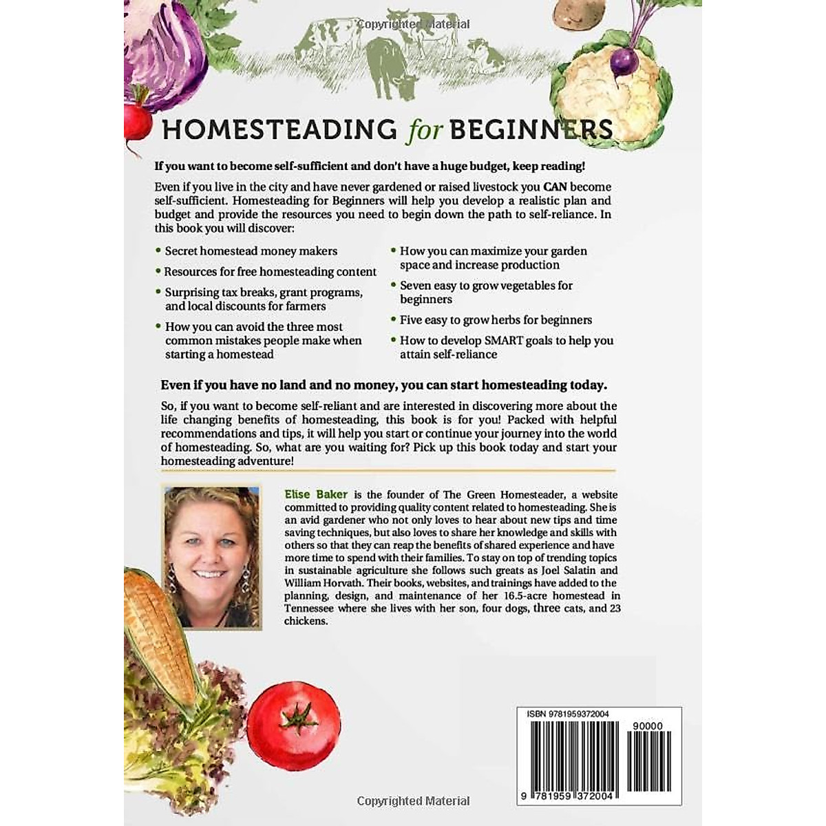 Homesteading for Beginners: A Budget-Friendly Path to A Self-Sufficient Lifestyle