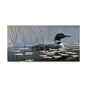 Loon In Reeds by Wilhelm Goebel, 12x24-Inch