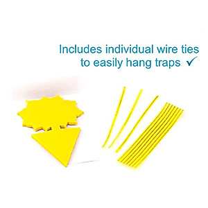 Yellow Dual Sticky Fly Traps (10 Pack) for Fruit Fly Gnat Whiteflies Fungus Gnats Small Insects Houseplant Eco Friendly 21C Save A Garden Flower Shape