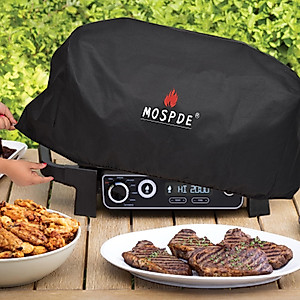 Grill Cover Fits for Ninja OG701 Woodfire Outdoor Grill, Fits Electric Ninja OG751 Woodfire Pro Smoker Portable BBQ Grill Travel-600D Heavy Duty Weather Resistant Cover