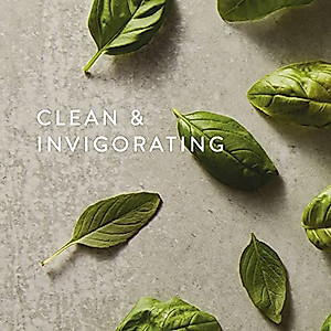 Fresh-Cut Basil Poured Candle