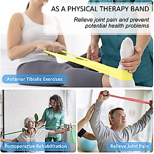 Resistance Bands for Working Out Women and Men, Physical Therapy Bands, Elastic and Exercise Bands Set for Stretching, Suitable for Rehab, Yoga, Pilates, Gym, Home Exercise (Five Colors)