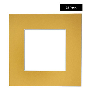 Pack of 25 Acid Free 16x20 Mats Bevel Cut for 14x16 Photos - Metallic Gold Precut Matboards With Backing Boards and Clear Photo Mat Bags For Pictures, Photos, Framing - 4-ply Thickness